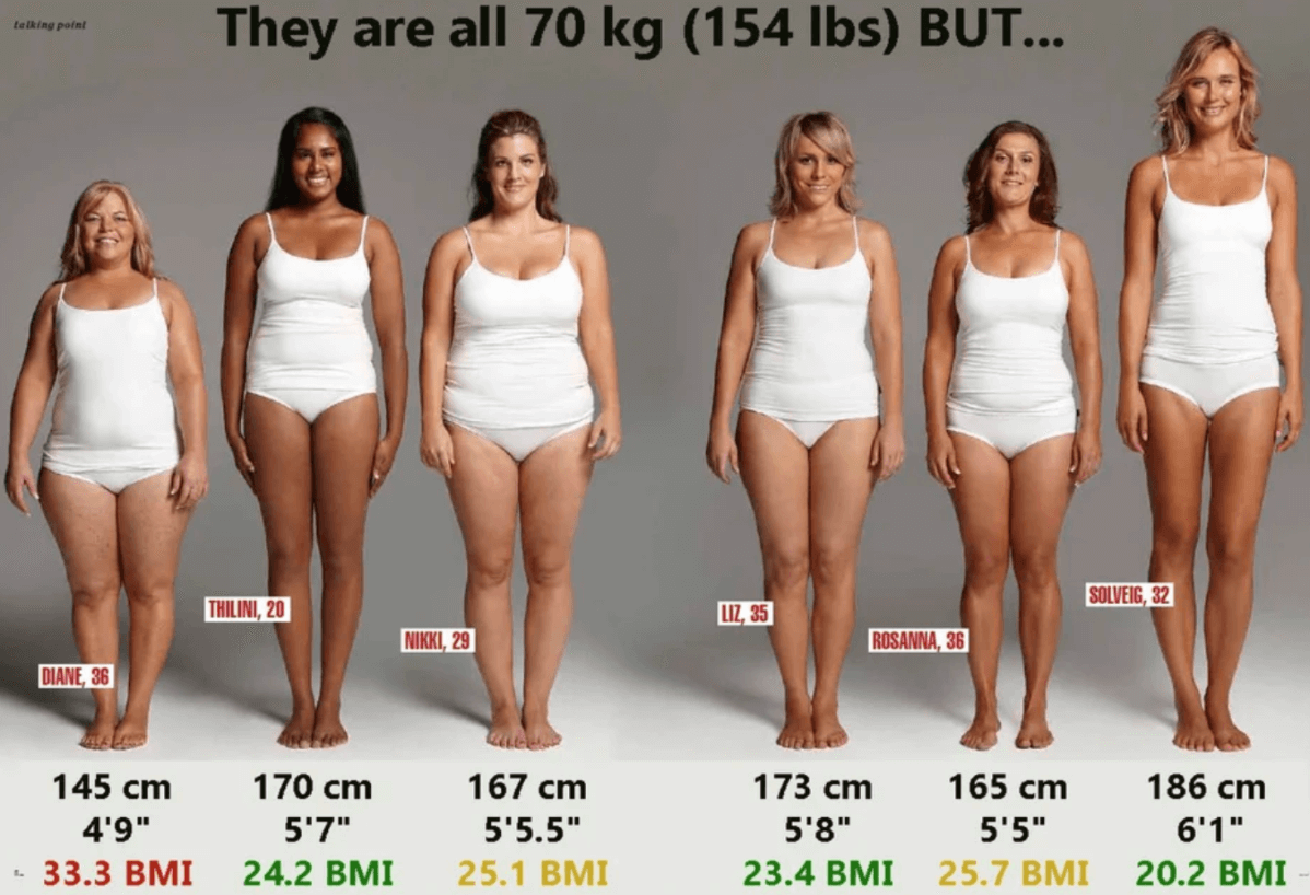 BMI Calculator Techvalvi